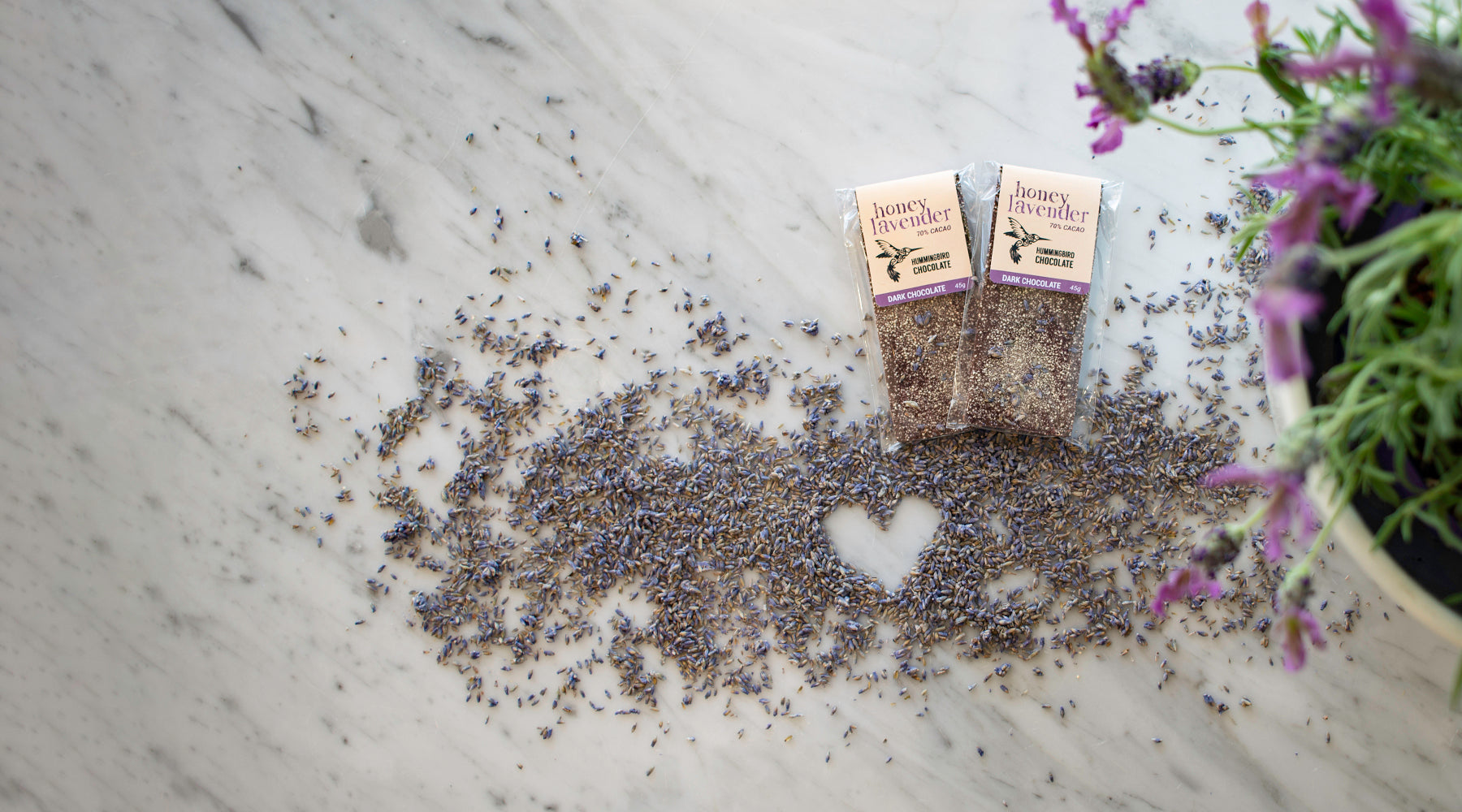 Hummingbird Chocolate Maker - Pure Craft From Bean-to-Bar